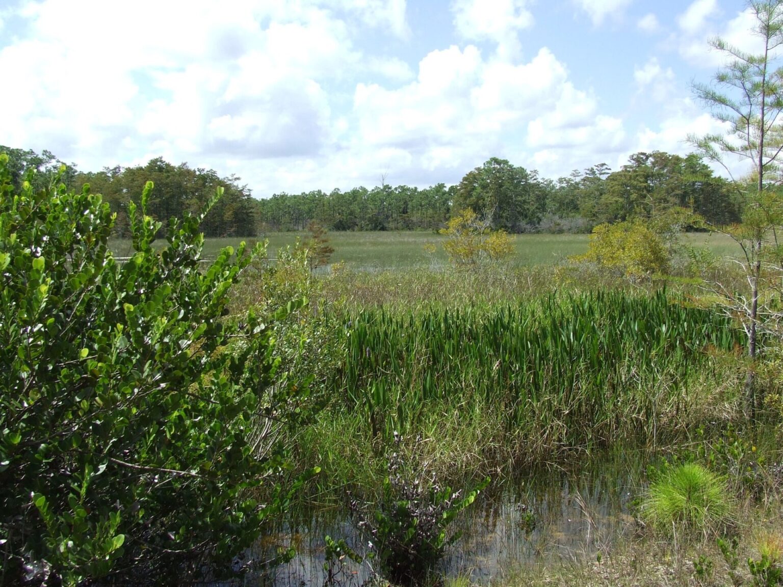 7 Best Parks In Jupiter, FL - JupiterDaily