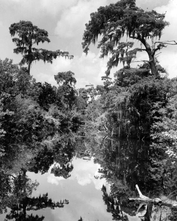 History Of Kitching Creek In Jupiter - JupiterDaily