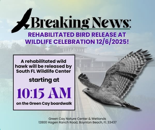 Jupiter, FL Events In May 2026 | Wildlife Celebration 2025